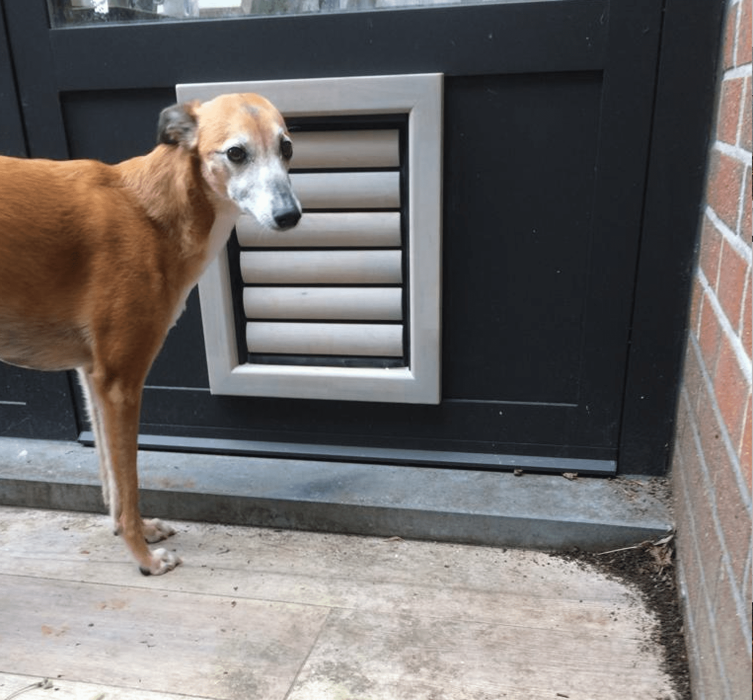 Photos of beautiful wooden dog doors and cat flaps - Tomsgates